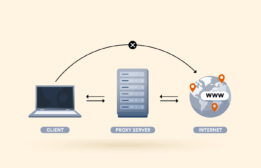 VPN vs. Proxy: Which One to Use? - PrivacySavvy