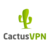 CactusVPN 2023 extensive review: Generally good but has a few drawbacks ...