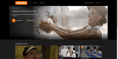 19 Best Netflix Alternatives in 2025 (Paid and Free) - PrivacySavvy