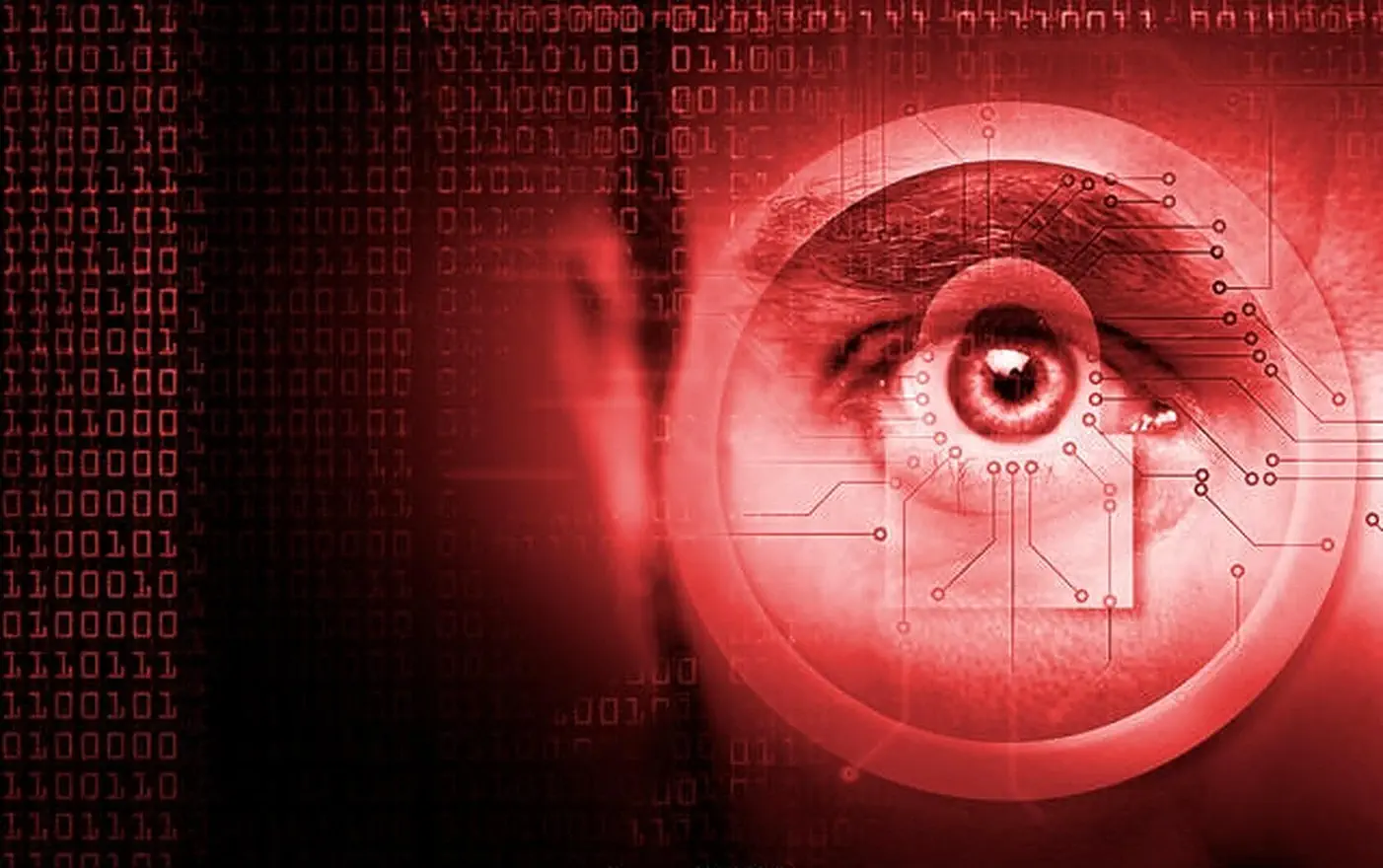 13 Best Privacy-focused Alternatives to Common Linux Software