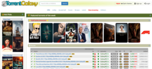 The 13 Best ExtraTorrent Alternatives in 2025 - PrivacySavvy