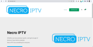 The 23 Best IPTV Services Overall in 2025 - PrivacySavvy
