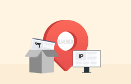Public vs Private IP Address - Differences and Uses - PrivacySavvy