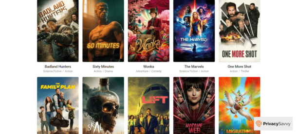 How to Stream Movies on Any Device (Step-by-Step Guide) - PrivacySavvy