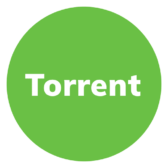 17 Best Torrent Search Engines in 2024 - PrivacySavvy