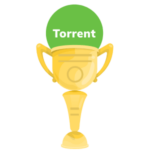 The 27 Best Torrent Sites in 2025 - PrivacySavvy