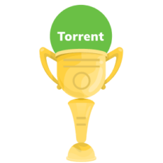 The 27 Best Torrent Sites in 2025 - PrivacySavvy