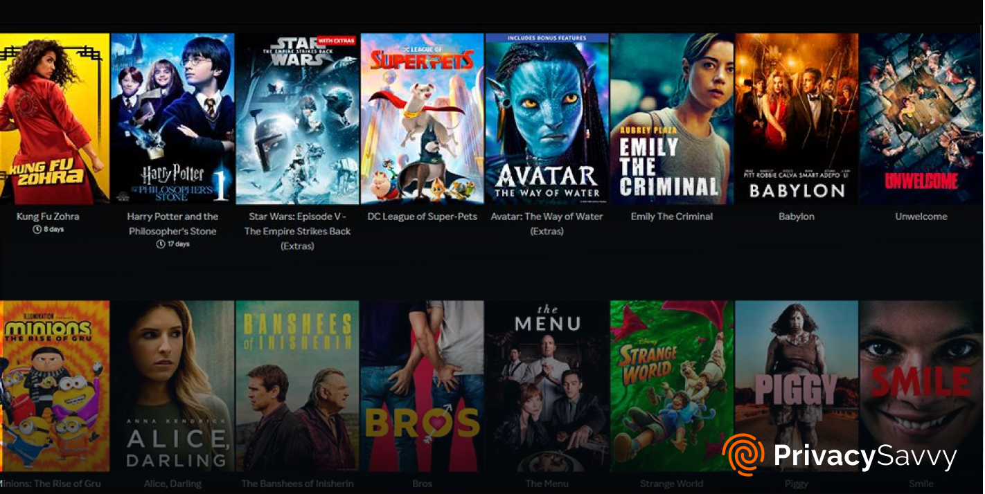 How to Stream Movies on Any Device (Step-by-Step Guide) - PrivacySavvy