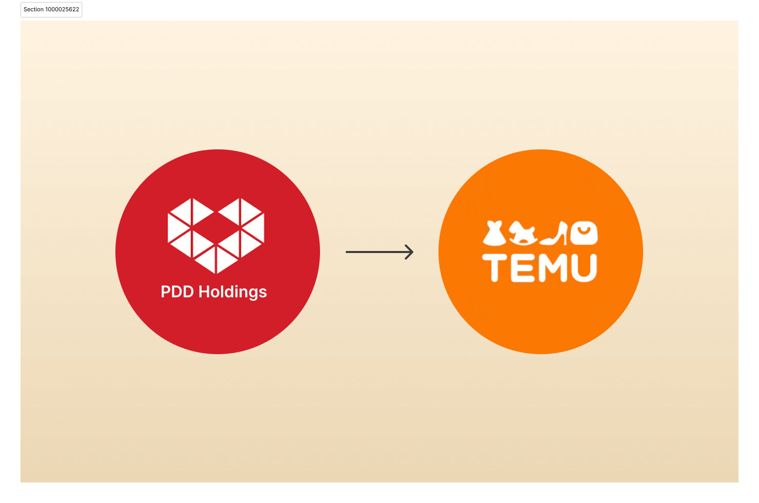 Is Temu Safe? What to Know Before You Place an Order - PrivacySavvy