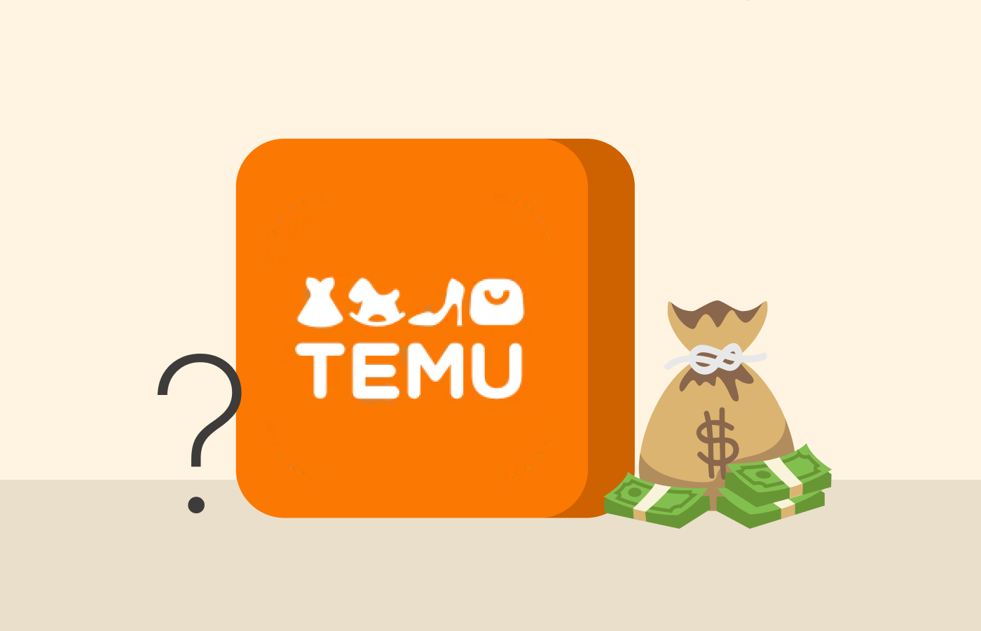 Is Temu Safe? What to Know Before You Place an Order - PrivacySavvy