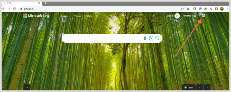 How to Delete Bing History (and Turn It Off) - PrivacySavvy