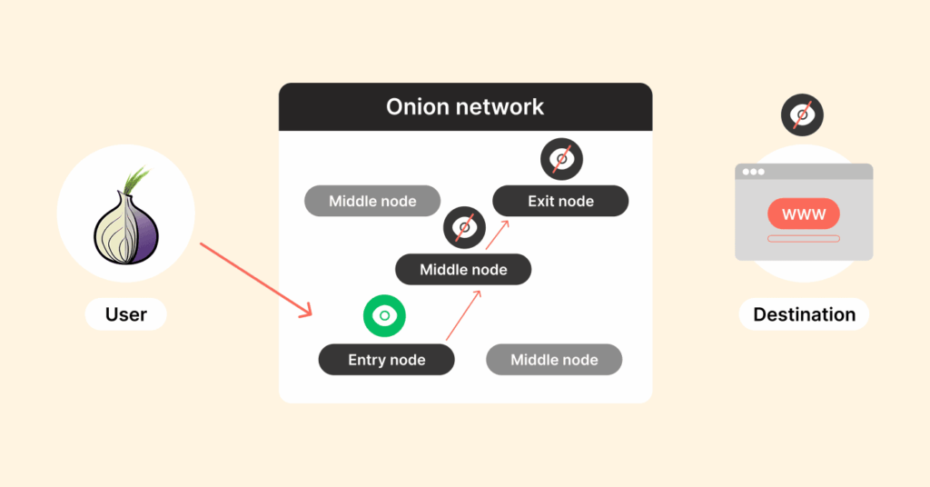 What is Onion Routing, and How Does It Work? - PrivacySavvy
