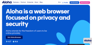 10 Unblocked Browsers for Unrestricted Access in 2026 - PrivacySavvy